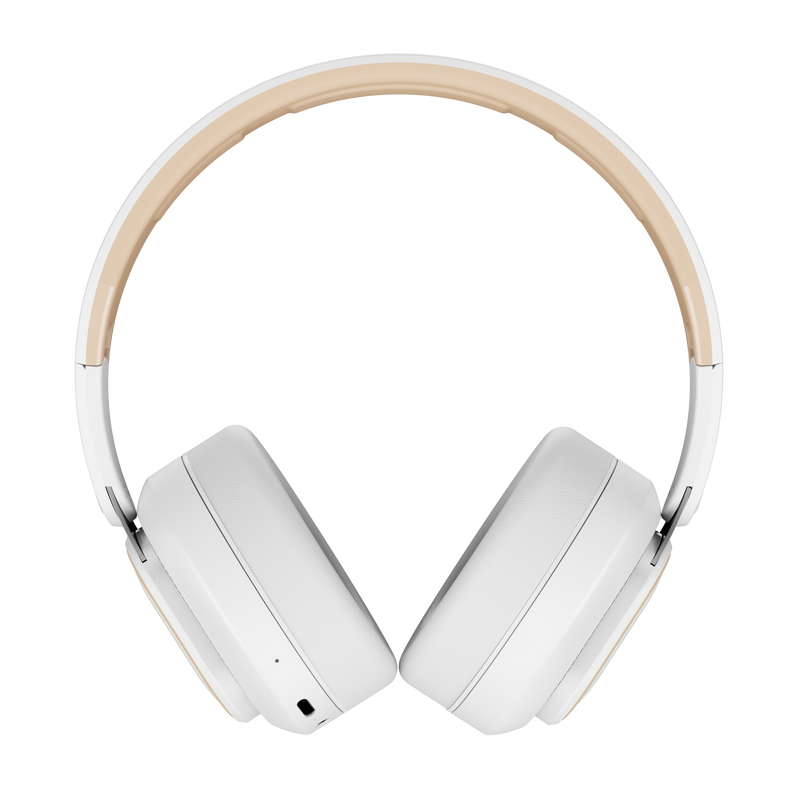 boAt Rockerz 370 Pro - Wireless Bluetooth Headphone with 40 Hours Long ...